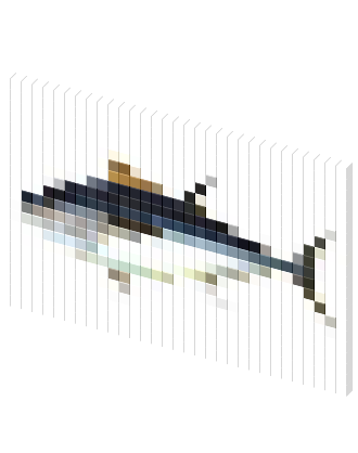 fish Cursor